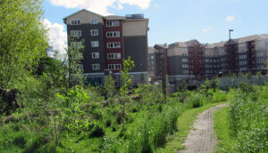 Ash Way Urban Center – Critical Area Permits and Wetland and Stream ...